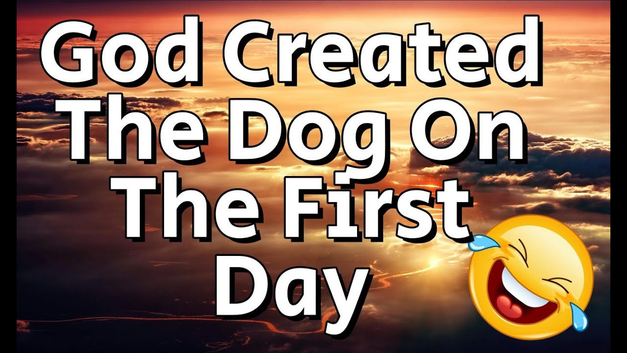 God Created The Dog On The First Day The Funniest Joke Ever 😂🤣😂 - YouTube