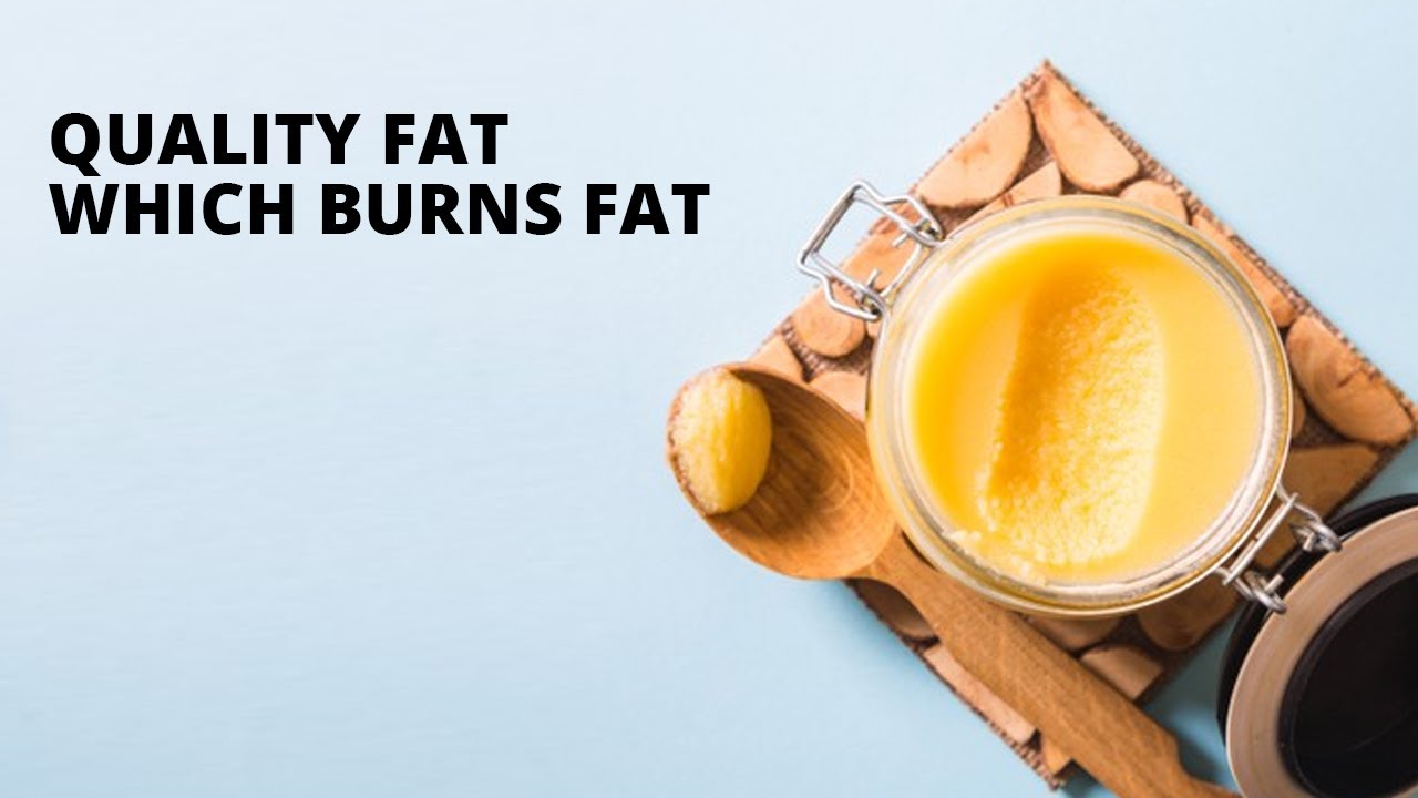 You Need Quality Fat to Burn Excess Bodyfat - YouTube