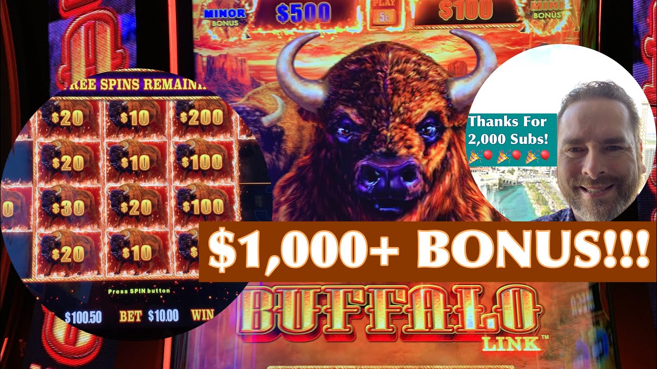 Buffalo Link Pays A Big Win Bonus on a $10 Bet! - YouTube