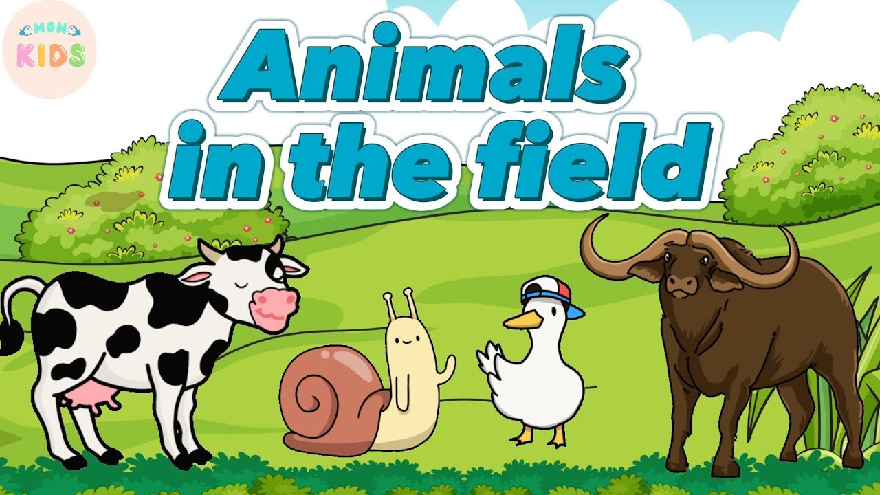 Animals in The Field 🐃 Teaching Children to Learn the Names of Animals ...