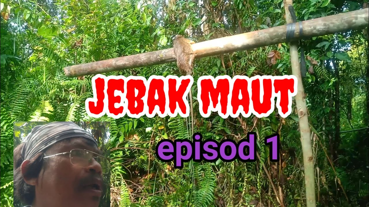 menyemak jebak maut //menjebak tupai di Sibu Sarawak.(eoisod 1). - YouTube