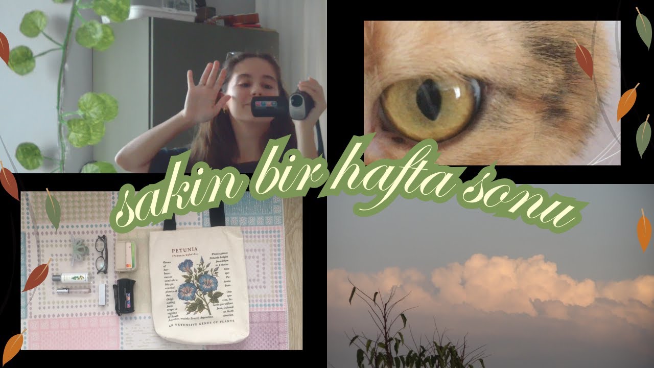 sakin bir hafta sonu: six feet under, ne okuyorum, saçımı kestim ...