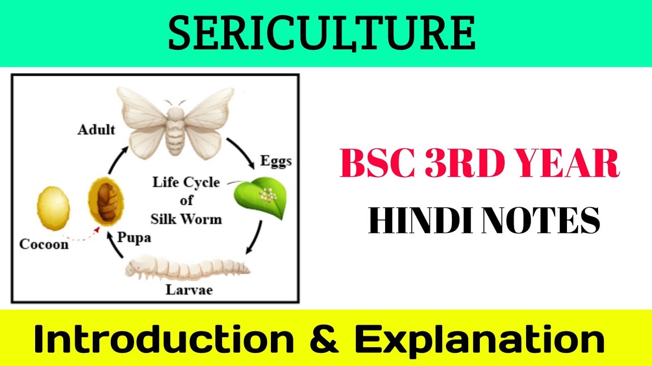 Sericulture - रेशम कीट | Introduction & Definition | Zoology 1st Paper ...