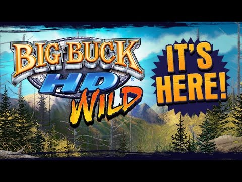 Big Buck HD Wild - Raw Thrills - IAAPA 2015 - YouTube