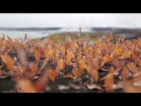 Holuhraun Fissure Eruption - National Geographic - YouTube