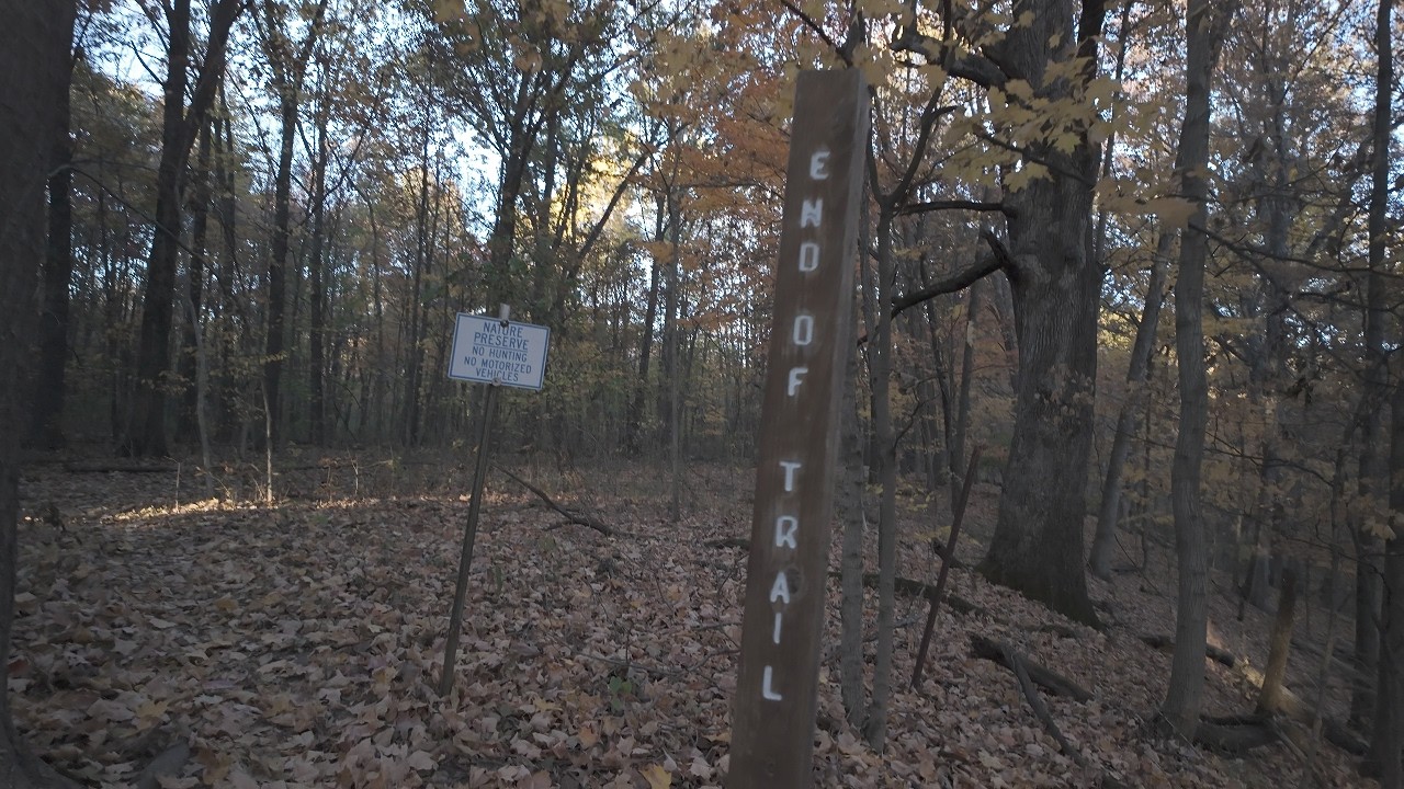 Discover the Magical Fall Forest in Galena, Ohio, USA - YouTube