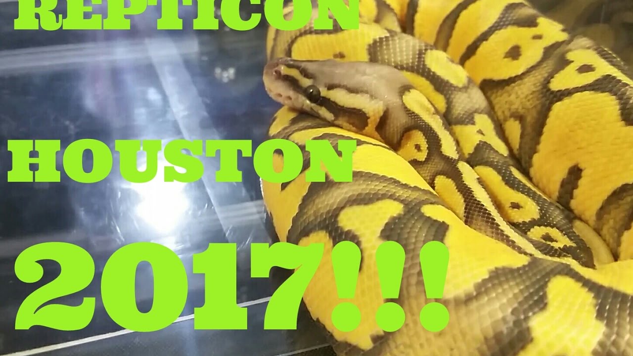 REPTICON HOUSTON 2017!!! (Vlog and pickup) - YouTube