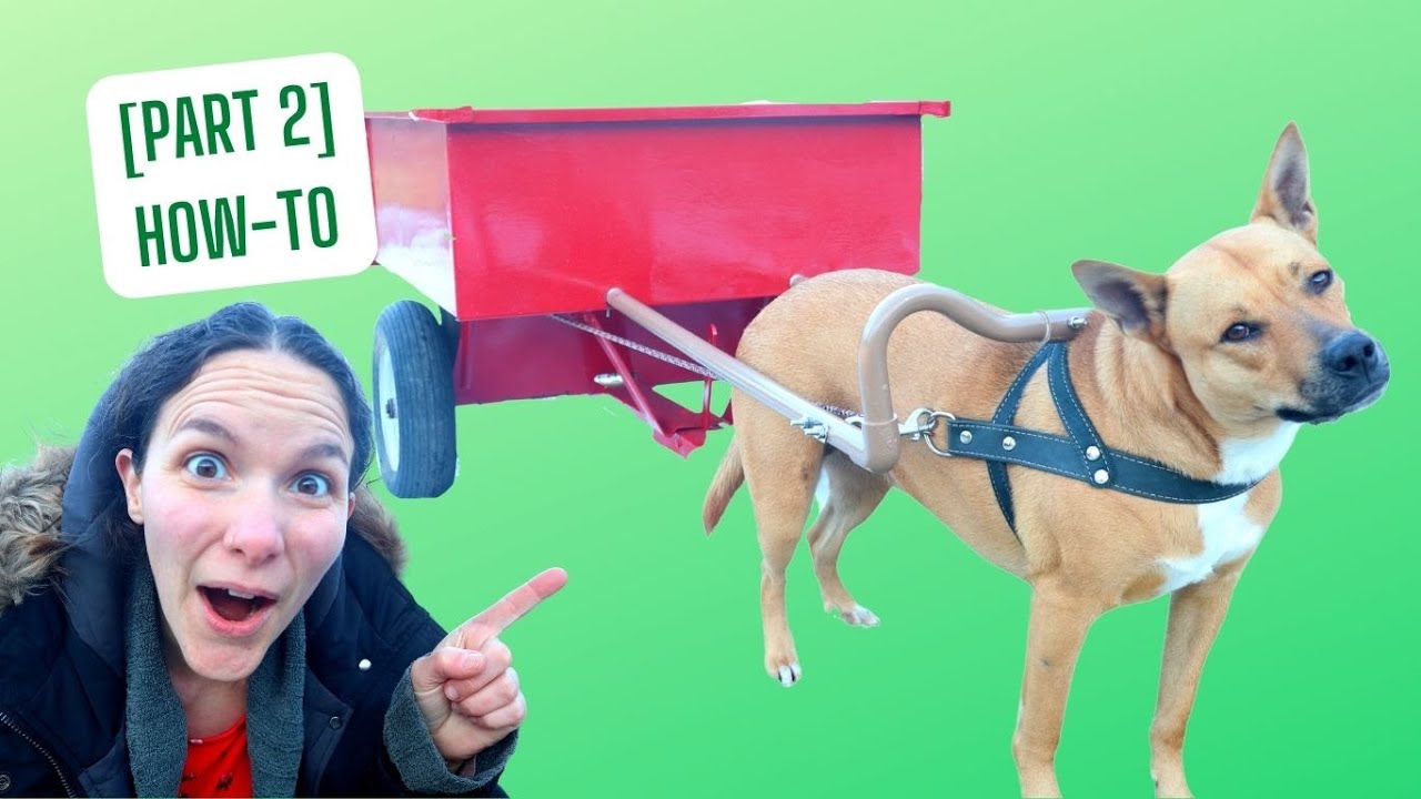HOW-TO: Make a DOG CART - YouTube