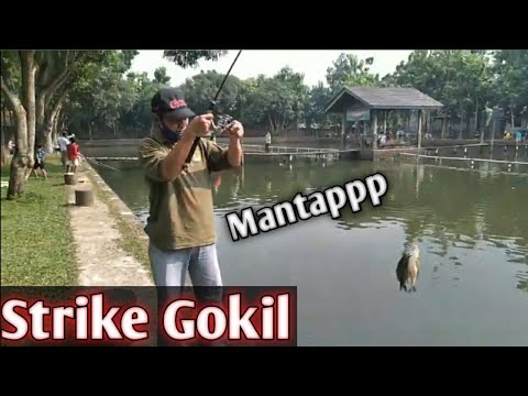 Pemancingan Kabeda Depok - YouTube