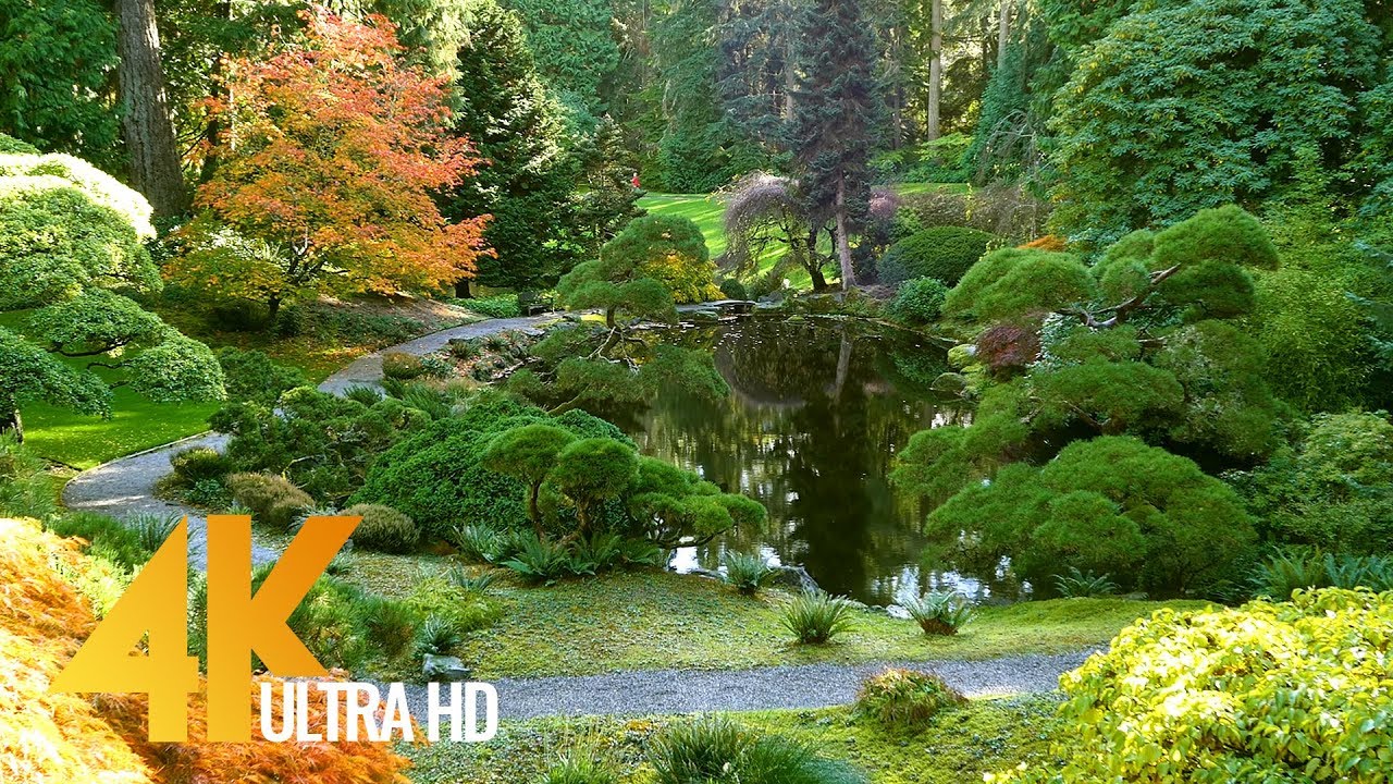 4K Autumn Foliage - Relaxing Video with Soothing Music - Beautiful Fall ...