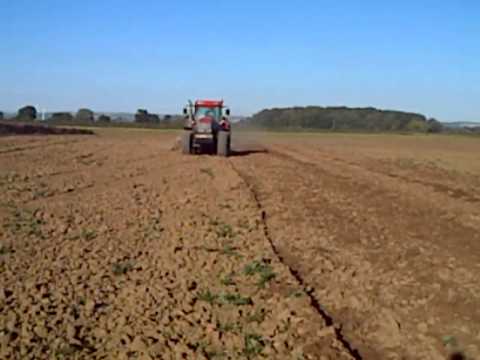 Simba discs - YouTube