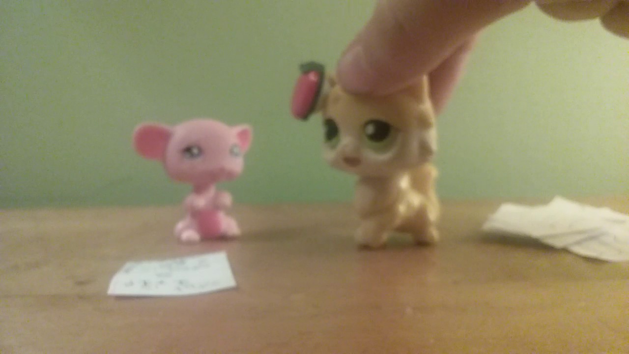 Pop quiz - short LPS skit - YouTube