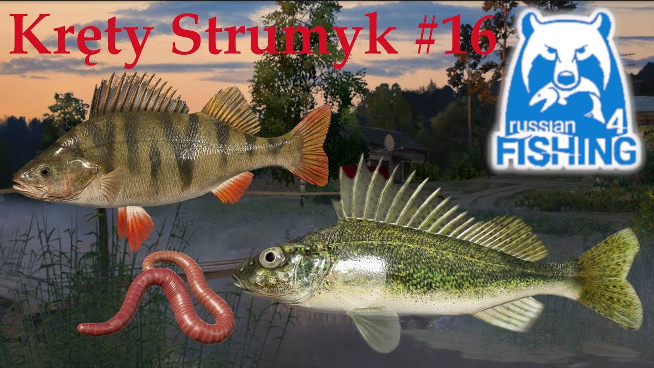 Russian Fishing 4 - Ruffe Perch Jazgarz Okoń Feeder spot Winding ...