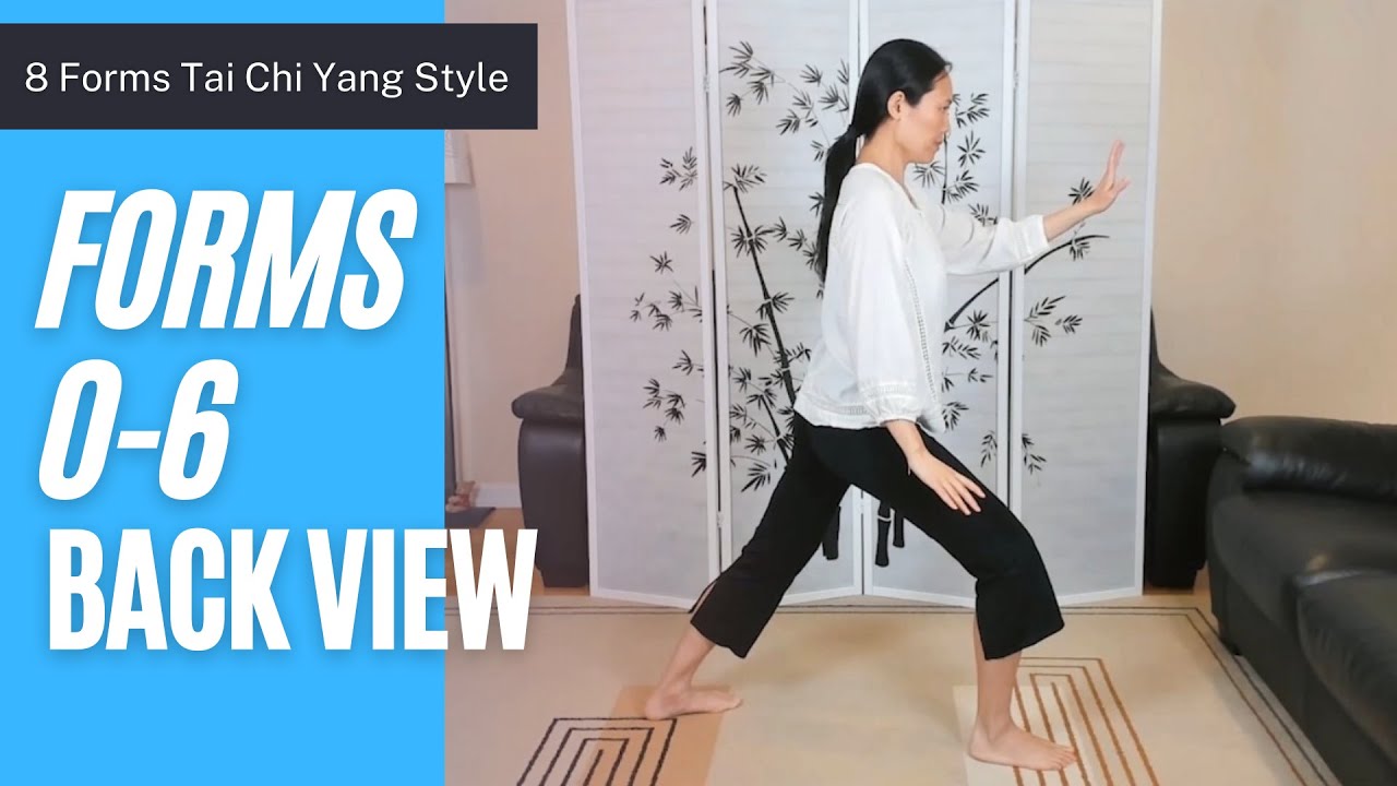 8 Forms Tai Chi, Up to Form 6 Kick with Heel in Back View with Verbal ...