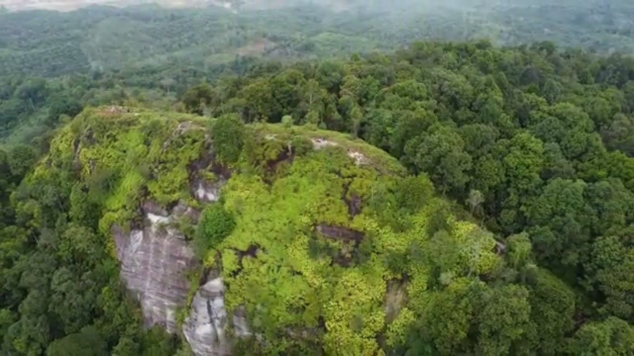 BUKIT BERBUNGA, INHIL, RIAU. - YouTube