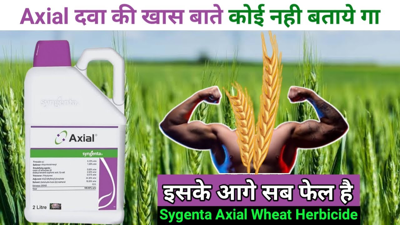 Axial sygenta | Axial की खास बातें | Sygenta Axial Wheat Herbicide ...