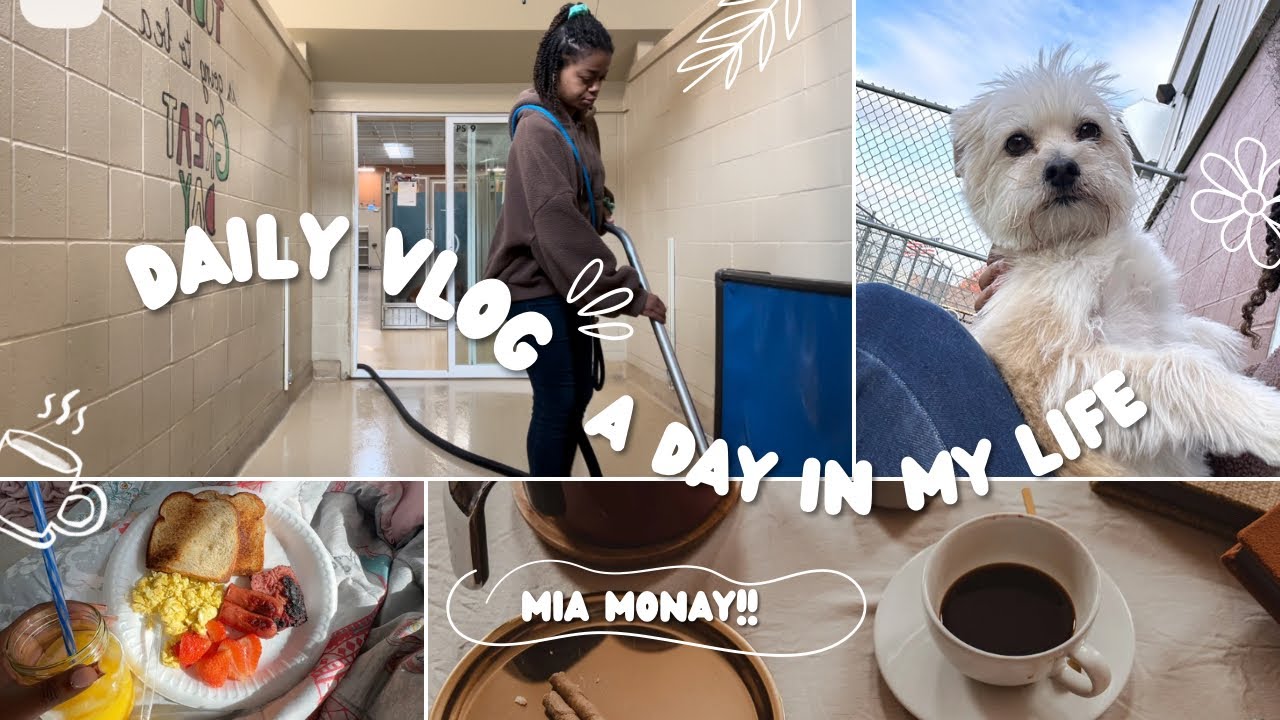 DAILY VLOG!! // A DAY IN MY LIFE | DAY 2!! - YouTube