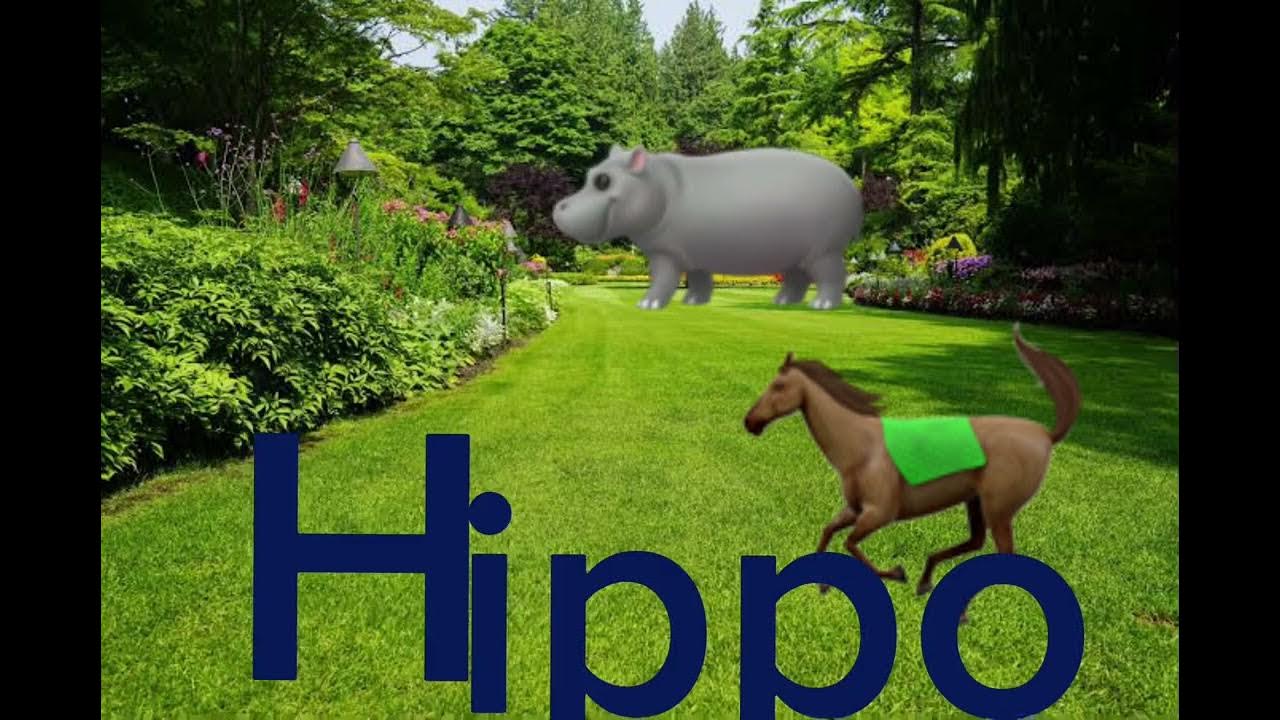 Learn Animals ABCs H is for Hippo - YouTube
