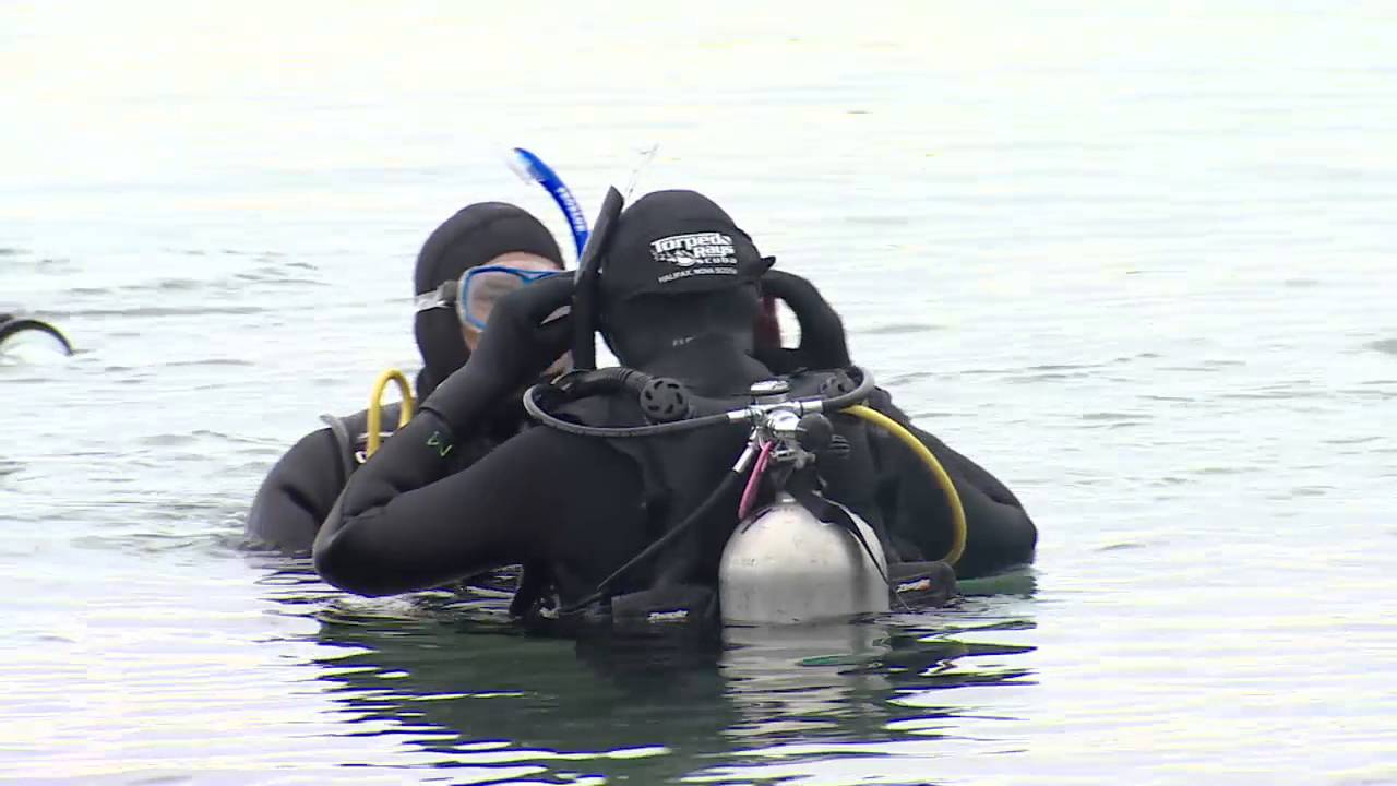 "Soldier On" veterans learn how to scuba dive - YouTube