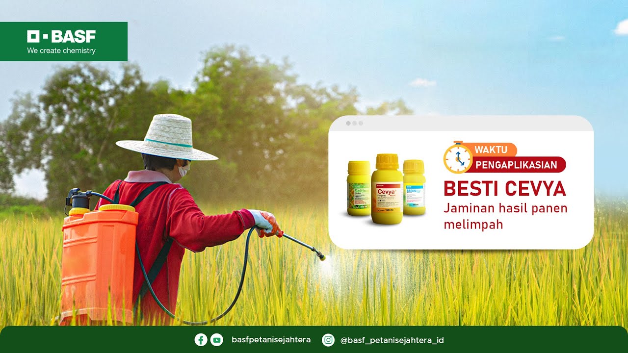 Berikut Cara Pengaplikasian Besti Cevya dengan Tepat! - YouTube