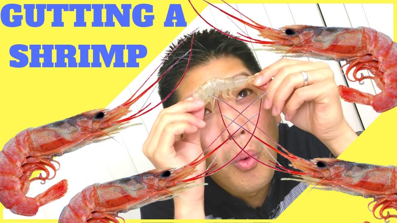 Deveining shrimp with shell on - YouTube
