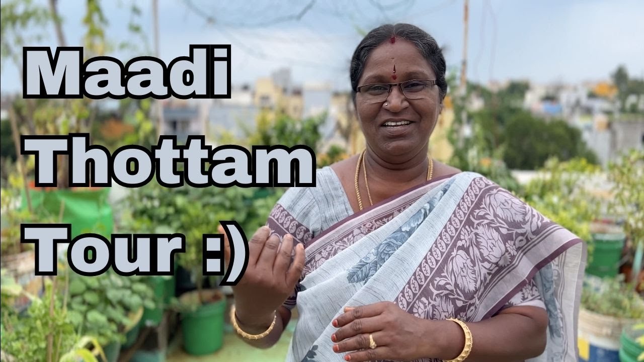 Maadi Thottam | மாடி தோட்டம் Tour 🛫 🏖 Sumathi Chennai #gardentamil # ...
