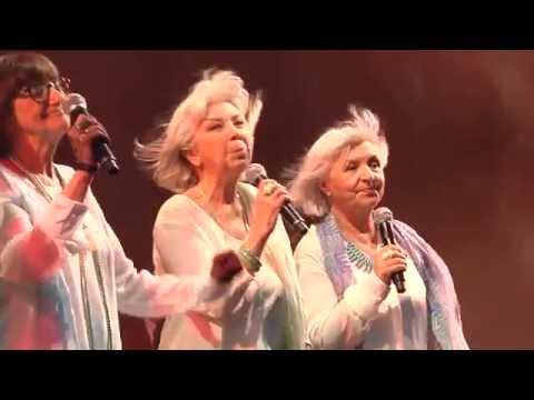 Męskie Granie. 2016. Alibabki - Kwiat Jednej Nocy