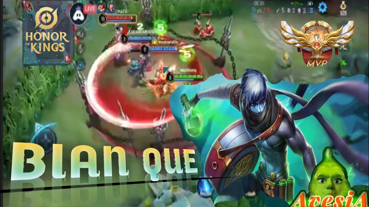 Bian Que Gameplay | Honor of Kings - YouTube