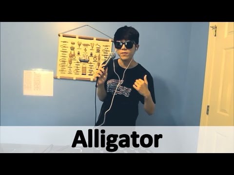Alligator │ American guy │ Shout out