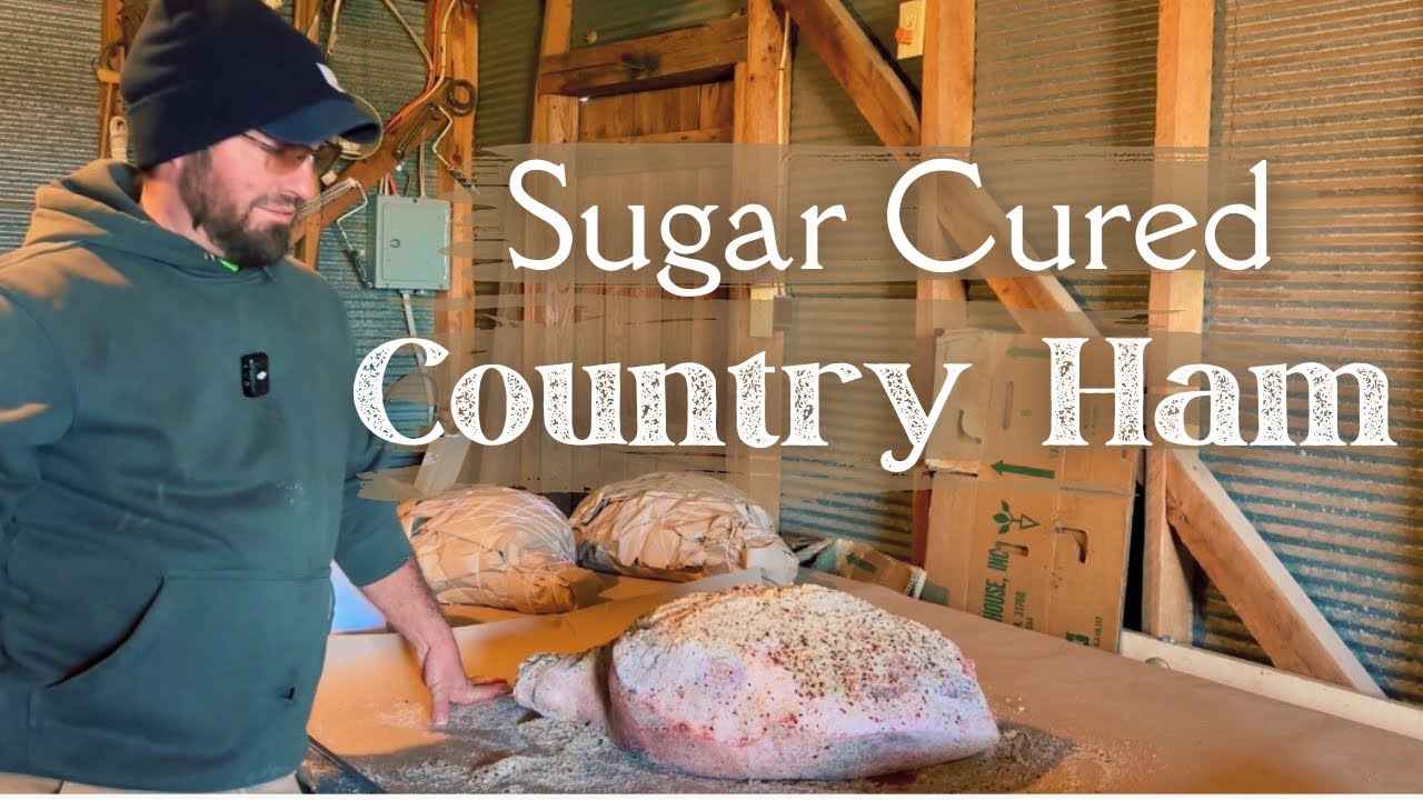 Traditionally Cured Country Ham || From Start to Finish || January 2025 ...
