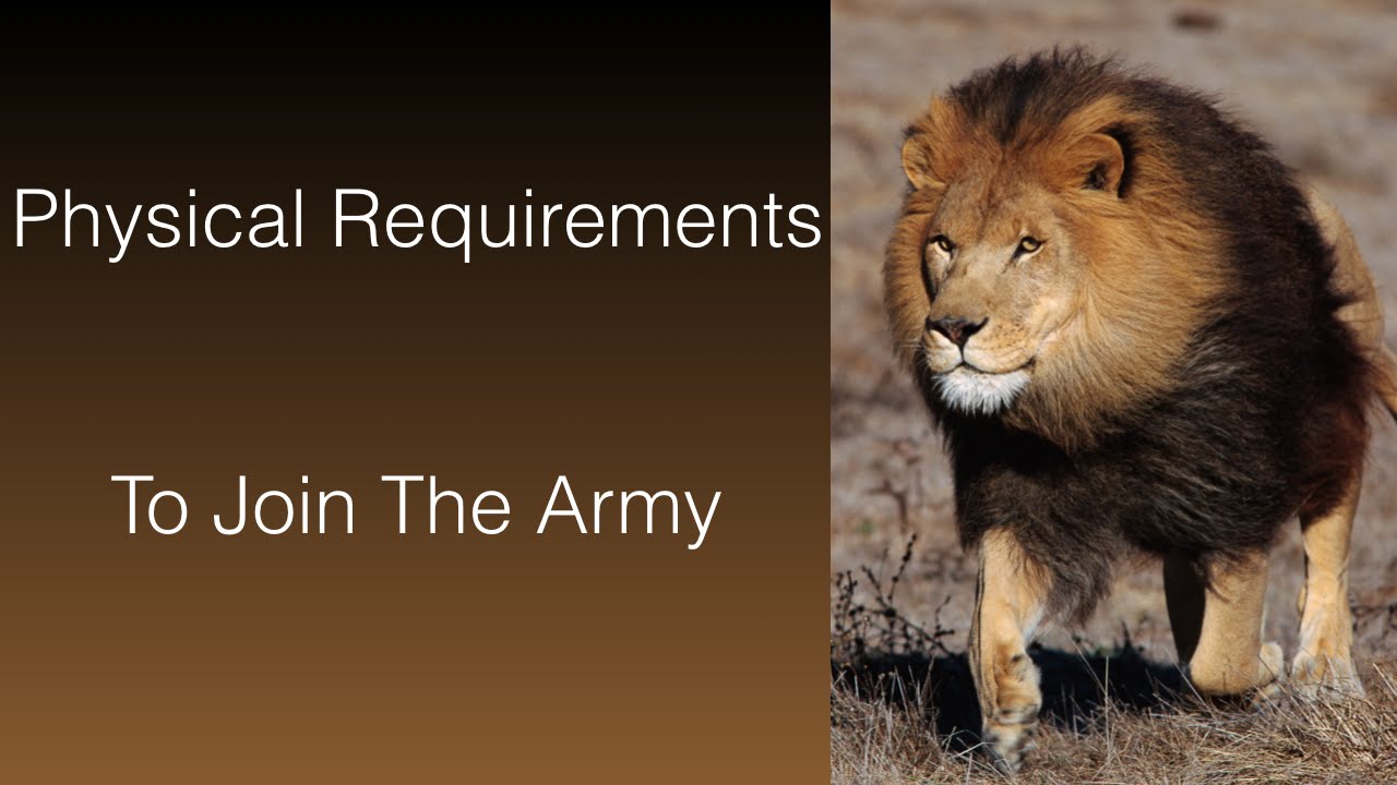 Physical Requirements To Join The Army YouTube physical-requirements-to-join-the-army-youtube