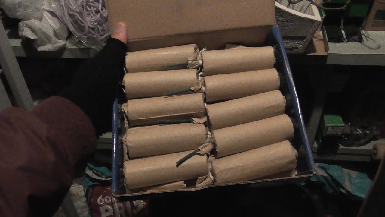 Butterfly Cracker - Jumbo Fireworks - YouTube