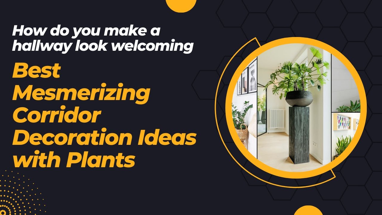 Best Corridor Decoration Ideas | Make hallway look welcoming| Small ...
