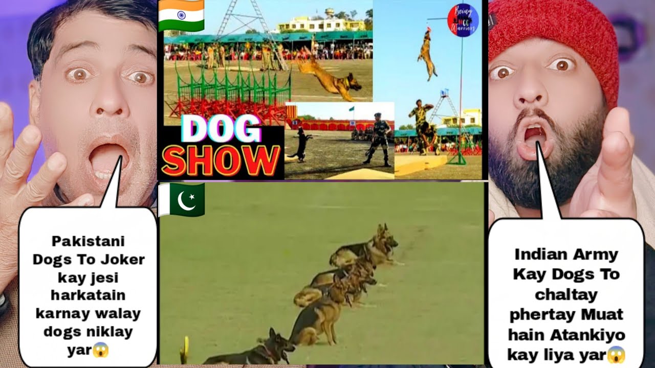 Indian Army Dogs Dangerous Training Vs Pakistani Army Dogs Joker Type Training | Pakistani ...