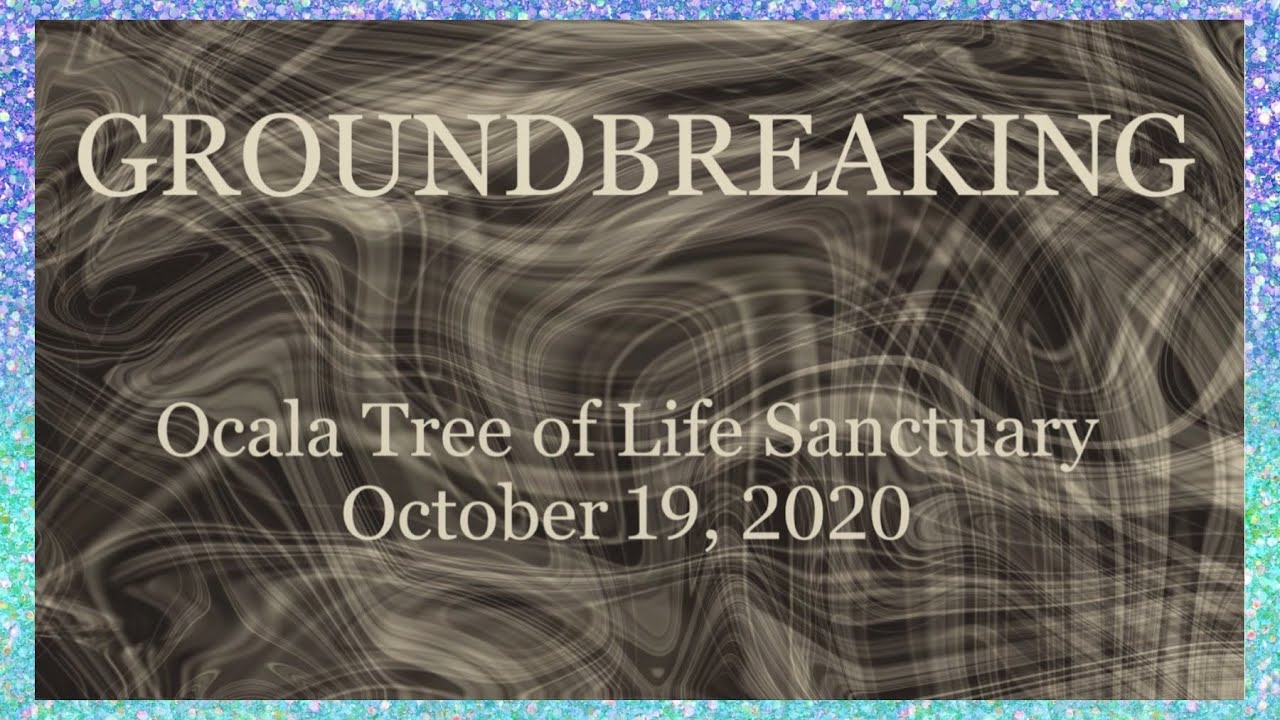 Ocala Tree of Life Sanctuary groundbreaking ceremony on October 19 ...