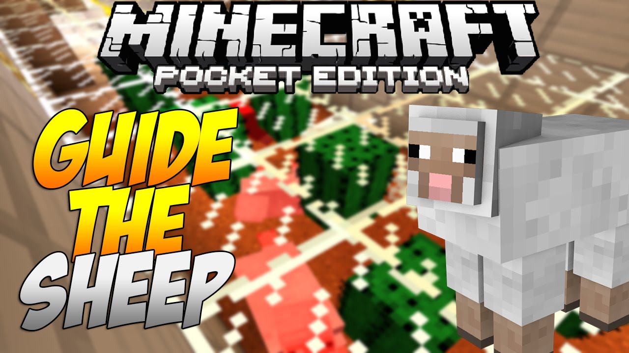 GUIDE THE SHEEP MINIGAME! - Minecraft: Pocket Edition - YouTube