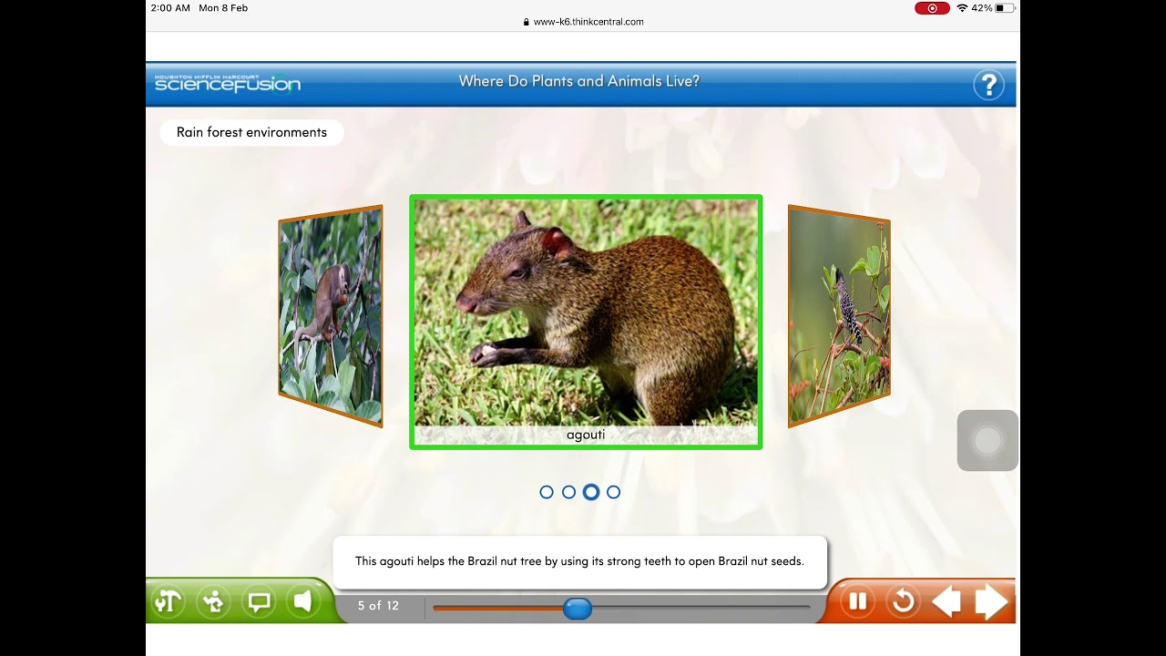 Unit 5 Where Do Plants And Animals Live YouTube unit-5-where-do-plants-and-animals-live-youtube