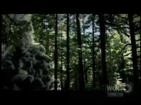 Mount St. Helens: Back From The Dead Part 1 Of 6 - YouTube