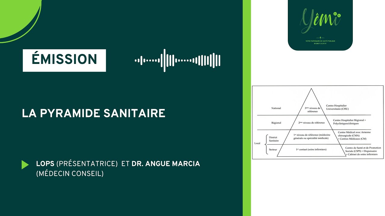 Émission - La pyramide sanitaire - YouTube