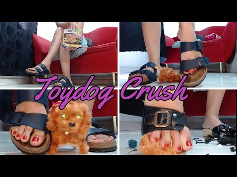 #easter  #gift  #crushing #crush  a little toydog complet in Birkenstock and Berkemann Sandals #asmr