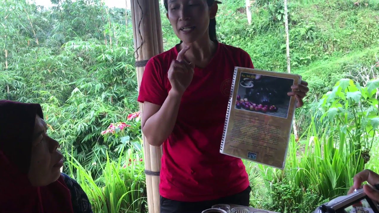 CUBA TRY TEST!!!BALI CAT POO CHINO AND OTHERS COFFE AND TEA☕️🍵🐈💩 - YouTube