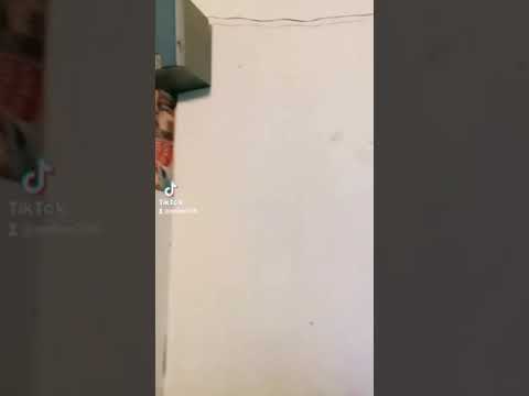 Susu Gede lagi nyanyi