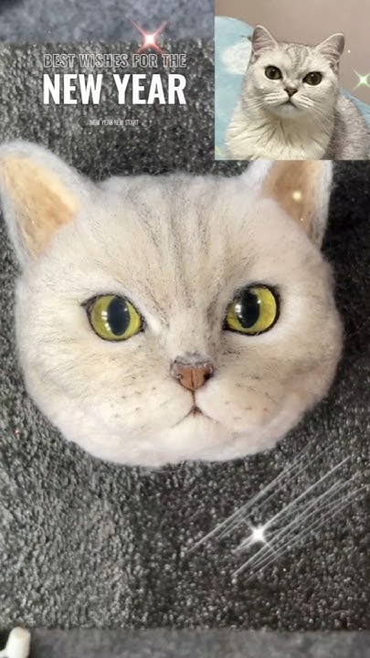 An immersive process of creating a custom 3D realistic cat head ...