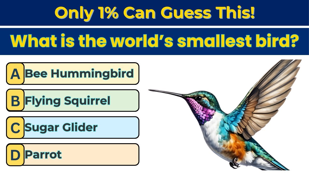 25 Fun Unique Trivia Questions Can You Answer The World s Smallest 25-fun-unique-trivia-questions-can-you-answer-the-world-s-smallest