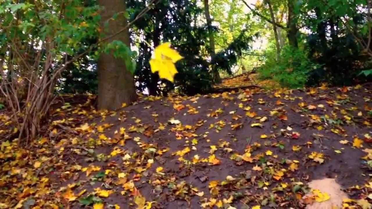 Елена Королёва - Касабланка (русская версия) cover Jessica Jay. - YouTube