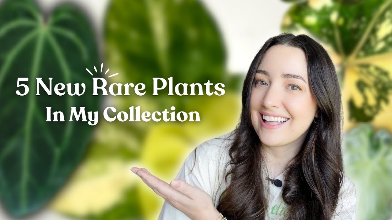 5 New Rare Plants in My Collection & Some Repots 🌿 - YouTube