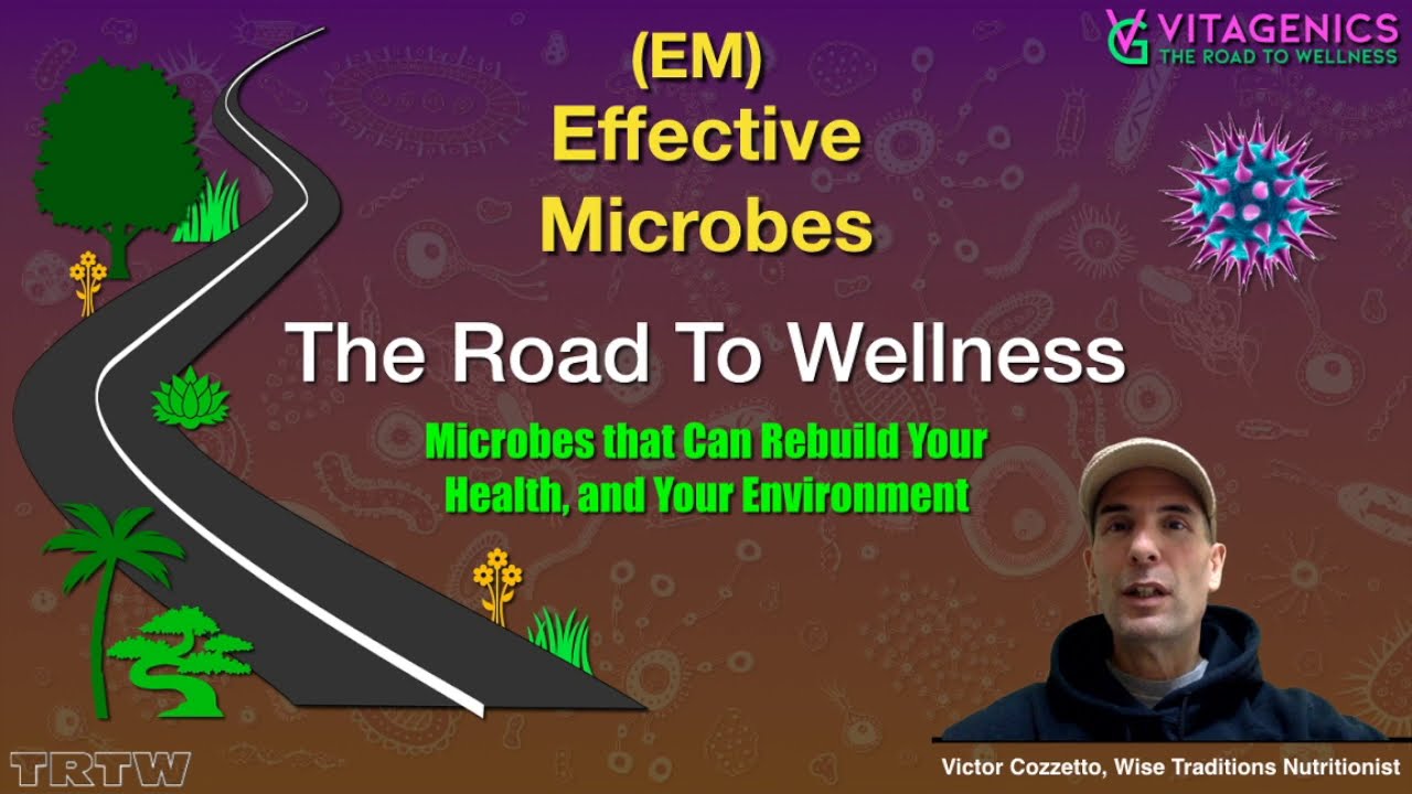 Effective Microbes (EM): Powerful probiotics that can rebuild your ...