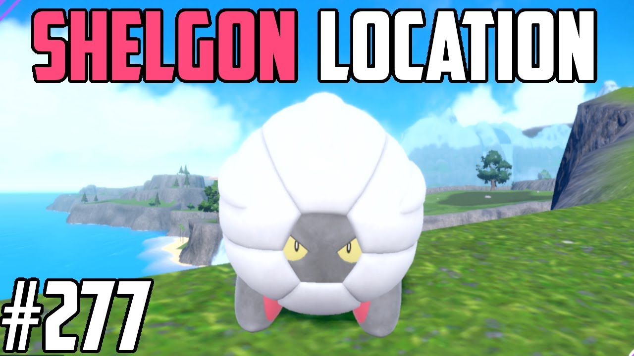 How to Catch Shelgon - Pokemon Scarlet & Violet - YouTube