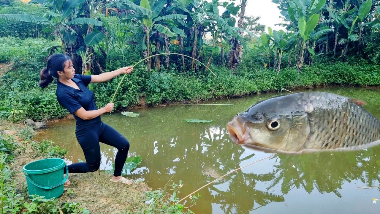 How to catch giant fish with bamboo fishing rod & How to make handmade ...