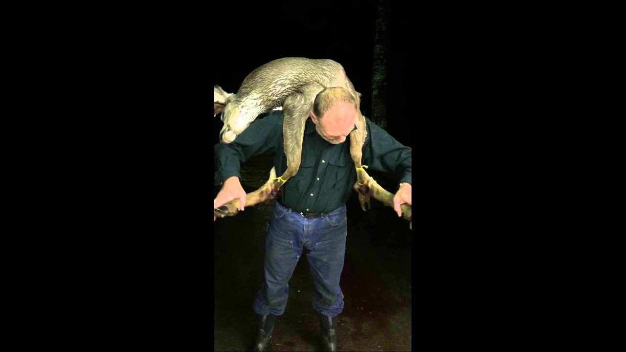 How to pack deer out of the woods without a pack board part#1 - YouTube